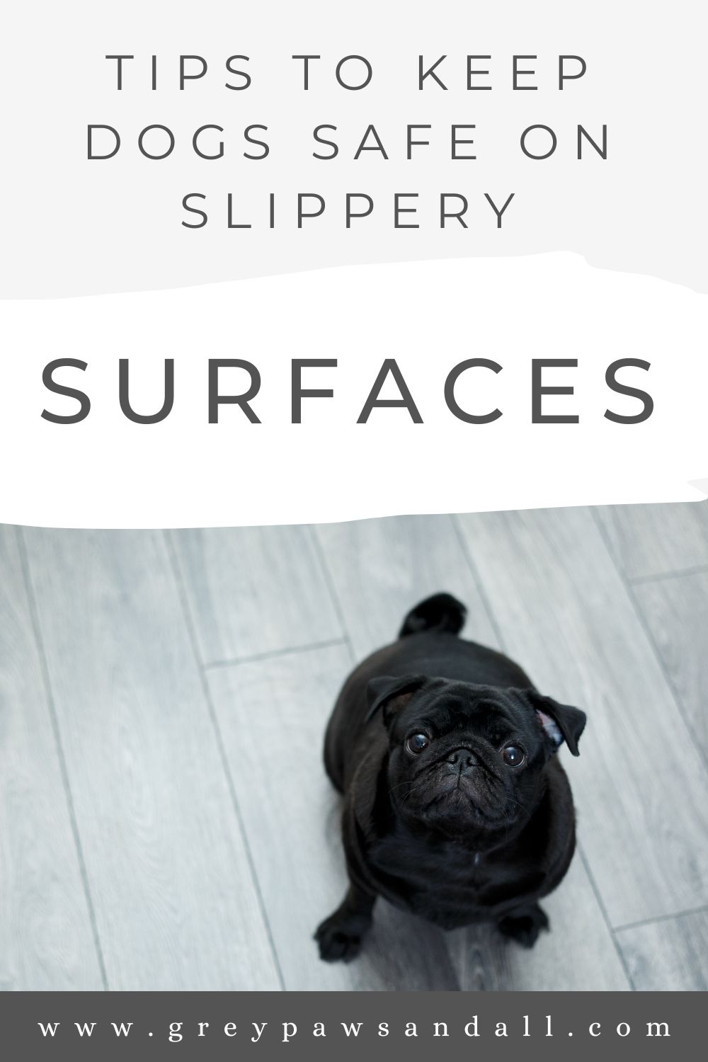 How to Stop Old Dogs Slipping on the Floor - Grey Paws and All